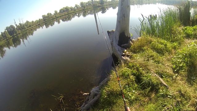 Рыбалка на спиннинг. Озеро Линево. город Рубежное, Луганская область. Ностальгия.