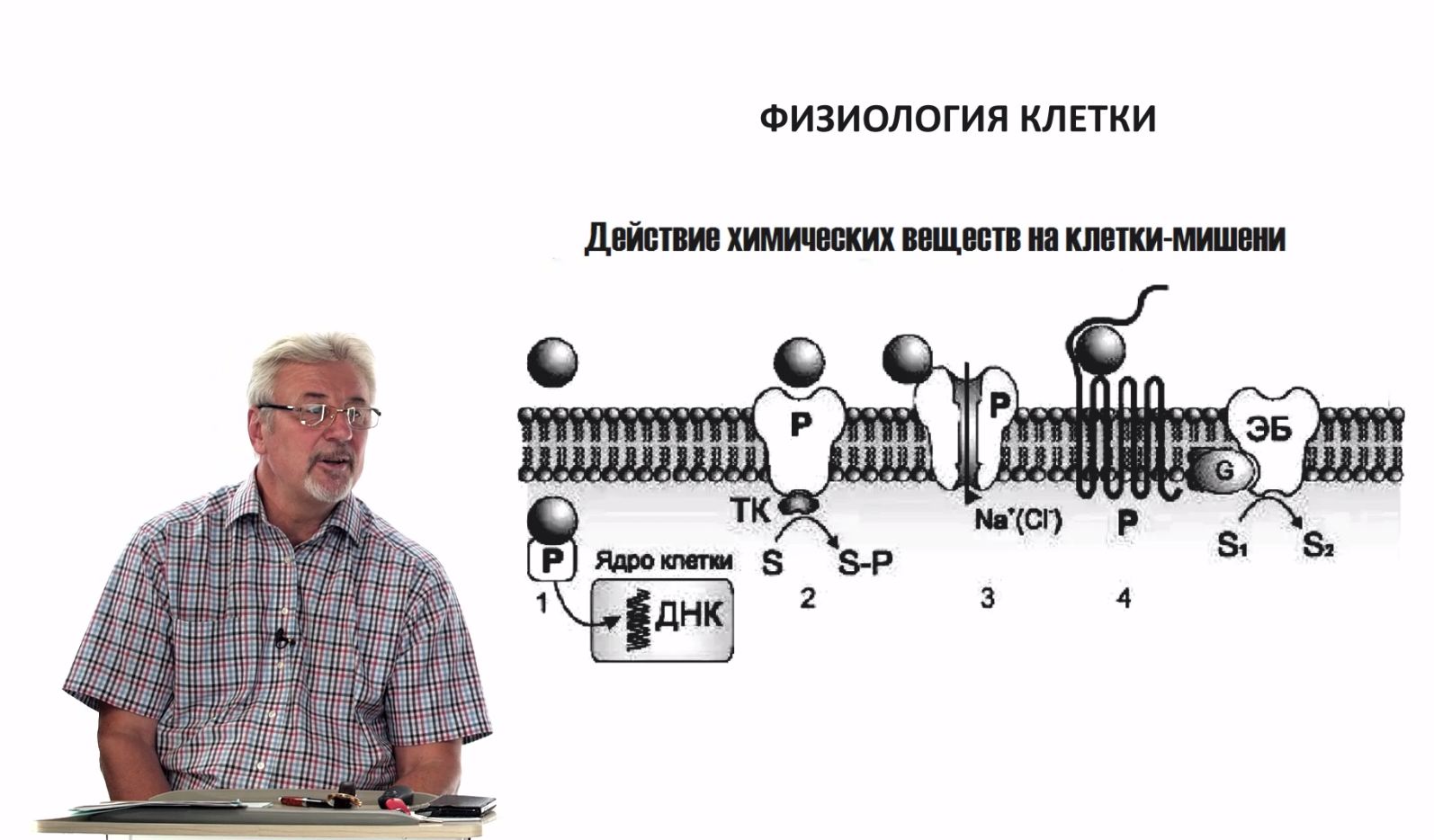 Евсеев А.В. Нормальная физиология. Лекция №1. Раздражение клетки. 2023