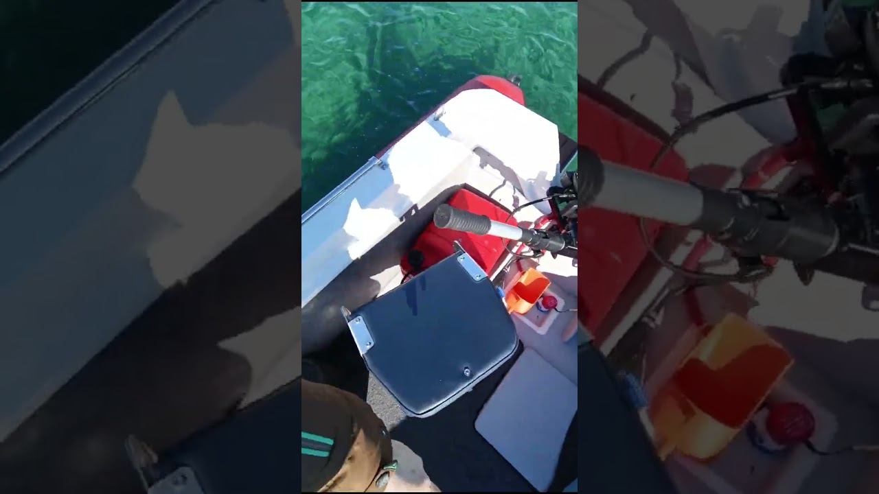 #shorts #русскиймеханик Fortis 460z проверка на остойчивость