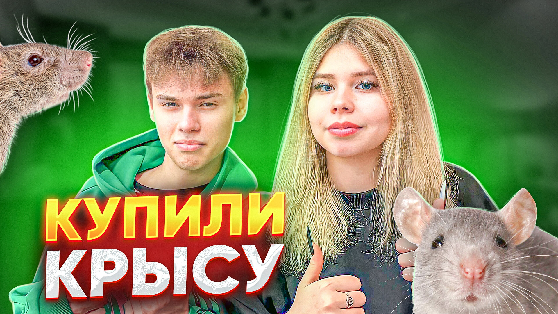 КУПИЛИ КРЫСУ?!