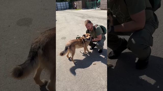 Его судьба предрешена