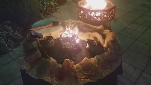 ШАМАНСКИЙ РИТУАЛ ОБНОВЛЕНИЯ АЯВАСКА.  ВЕДЬМИНА ИЗБА.