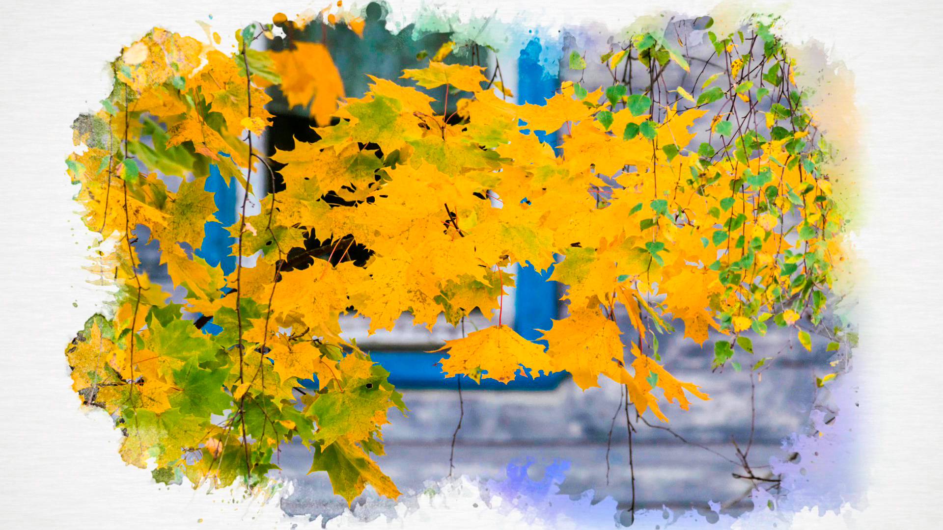 Кружились листья. Осень