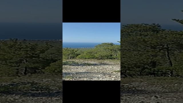 Лес, горы, море и цикады.