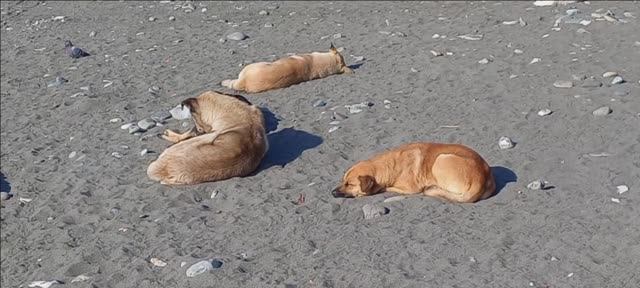 Сочи. Имеем право на отдых