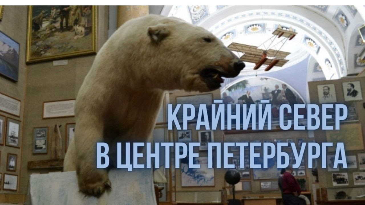 История крупнейшего в мире Музея Арктики и Антарктики