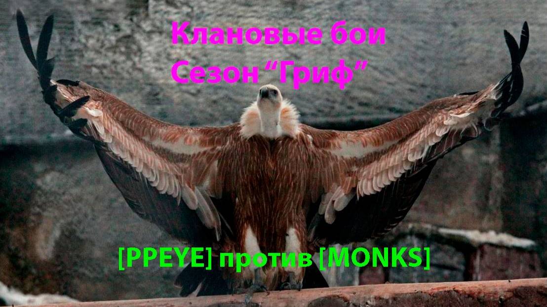 Клановые бои Сезон Гриф PPEYE против MONKS Мир кораблей World of Warships
