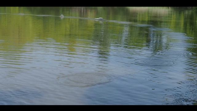 Аква-Техно Шоу 2024 (май)