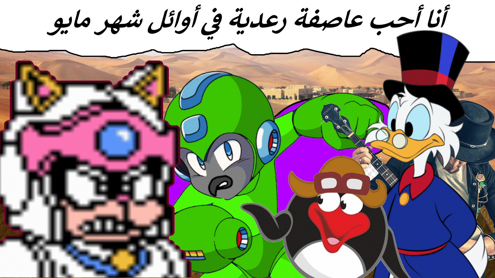 ИБУЧИЕ КОШАКИ НА АРАБСКОМ 1 [3.9.2022]