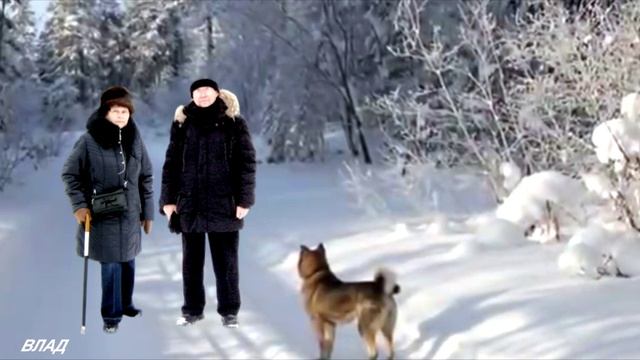 ЗИМА (НОСТАЛЬГИЯ)