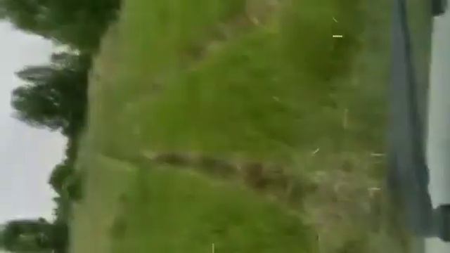 Достаю Буханку из болота.