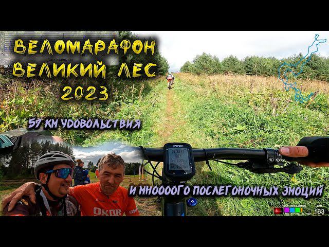 Веломарафон Великий лес 2023, 57 км удовольствия. Закрыли велосезон или еще нет....