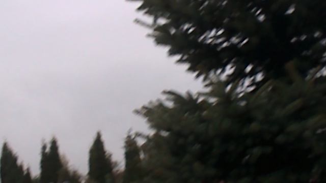 DSCN2538.AVIЭкскурсия в г.Грозный 2019