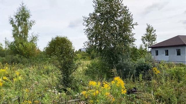 Продам земельный участок  возле леса в 15 км от города в СНТ-34 УМПО (рядом с Восточным выездом).