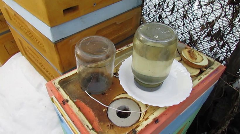 подкормка пчел в феврале - одну банку сиропа пчелы взяли, ставлю вторую, 16 февраля 2023 год