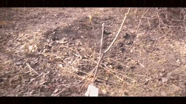 Дача. 23 Марта, 2017