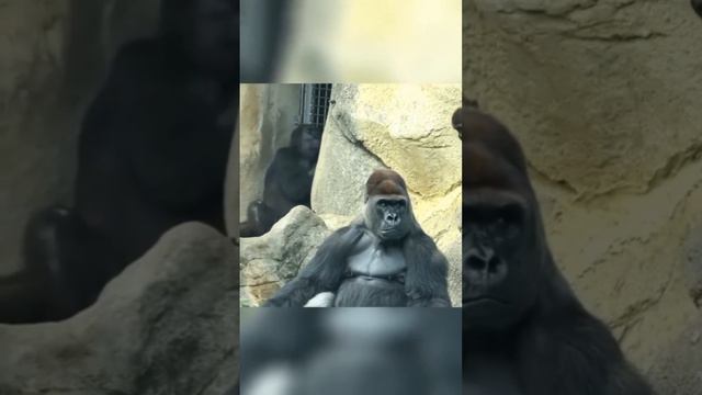 нежность и терпение мамы