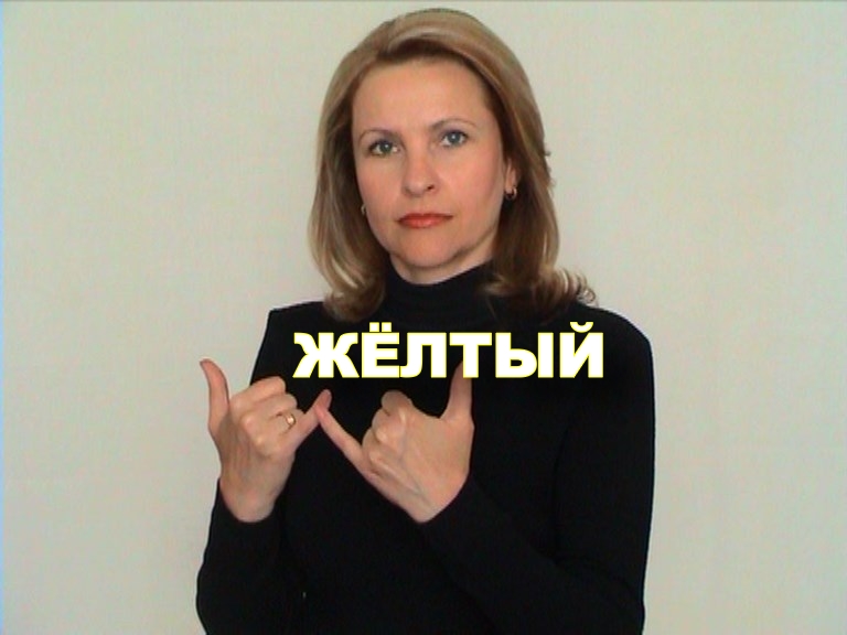 ЖЕСТОВЫЙ ЯЗЫК. СЛОВАРЬ. Желтый