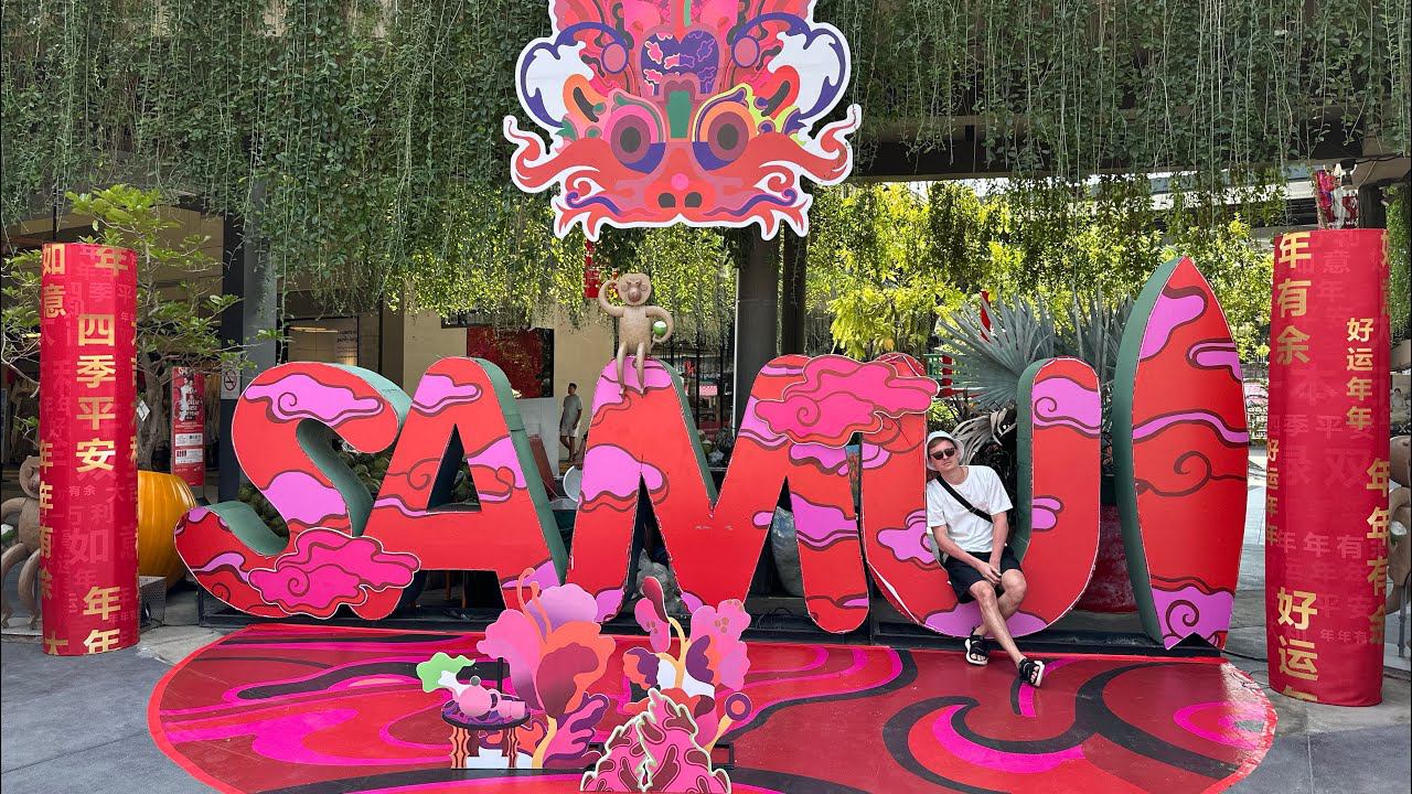 Возвращаемся в Пекин/ Цены Тайланд 2024/ Китайский Новый год! #Серия 3