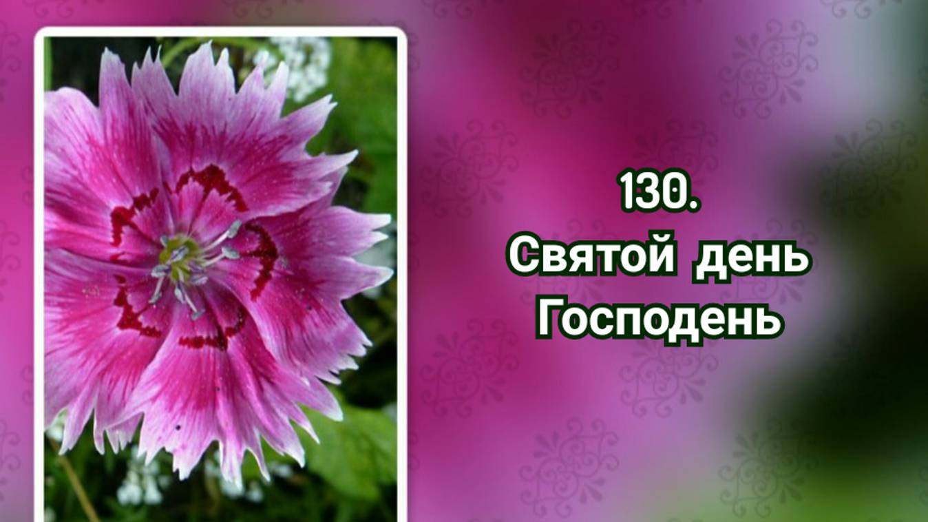 Гимны надежды 130 Святой день Господень (-)