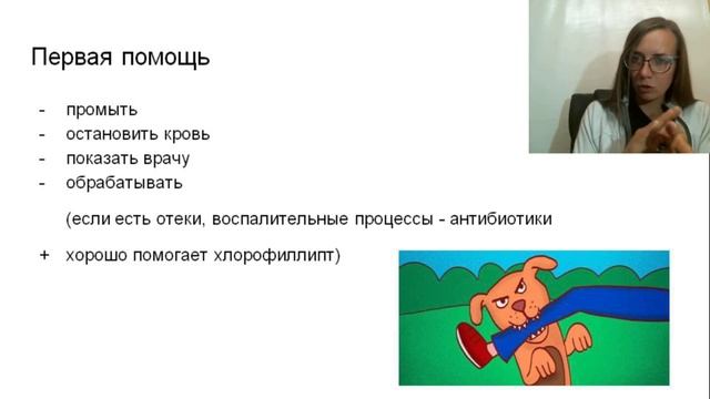 Что делать, если укусила собака