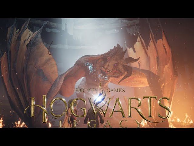 Освободили с Поппи дракона ⏩ Hogwarts legacy ⏩ № 12