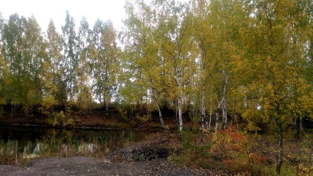 Осенняя пора. фото зарисовка