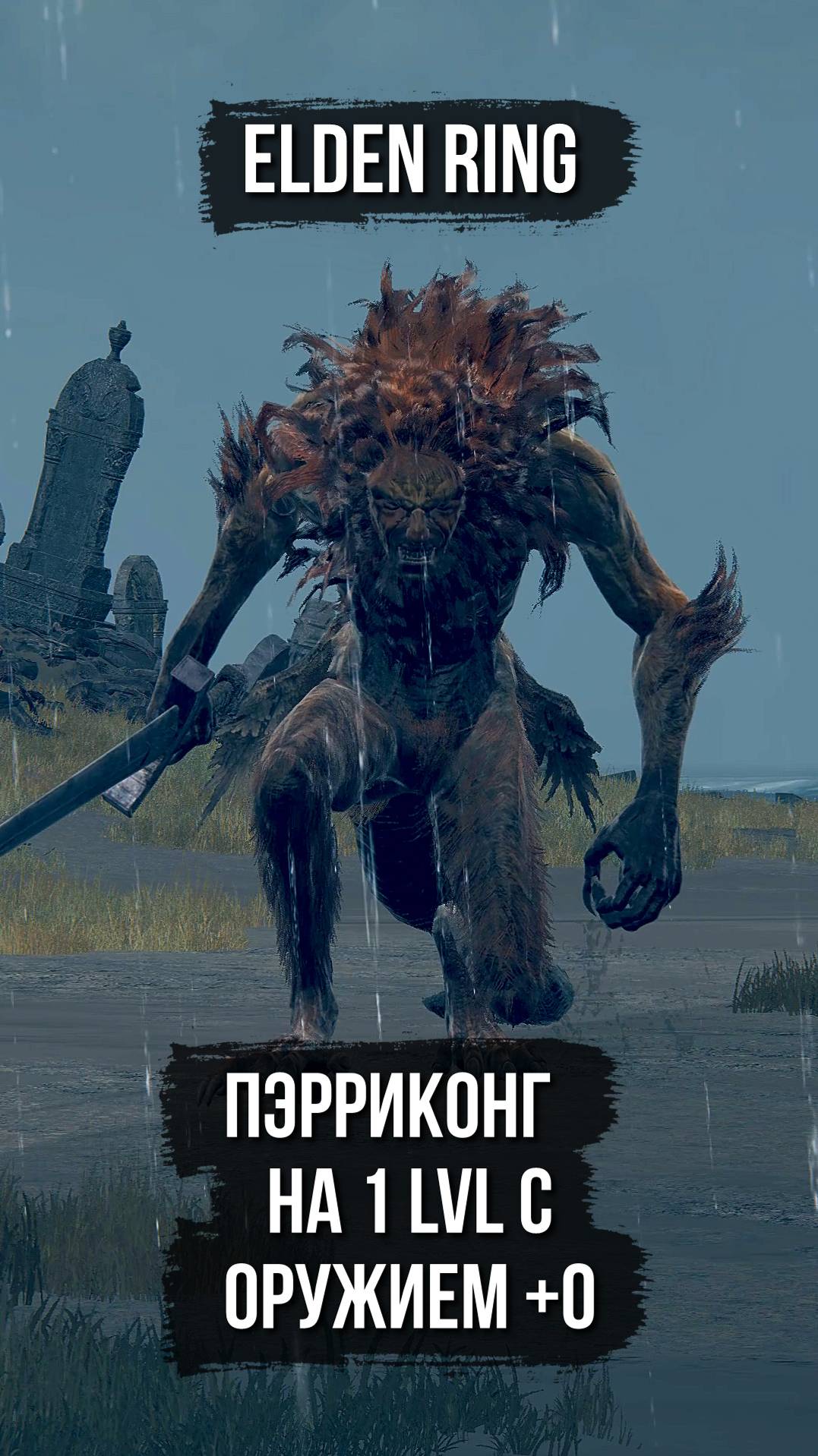 Бастард Леонин в битве спит | Пэриконг с рапирой [RL1+0, No-Hit] ▼ Elden Ring