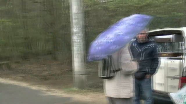 Апрельский дождь в парке Кусково