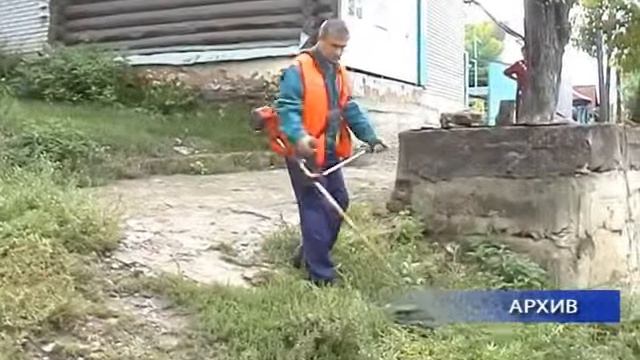 Профилактическая операция 'Мак'. Май 2010 год.