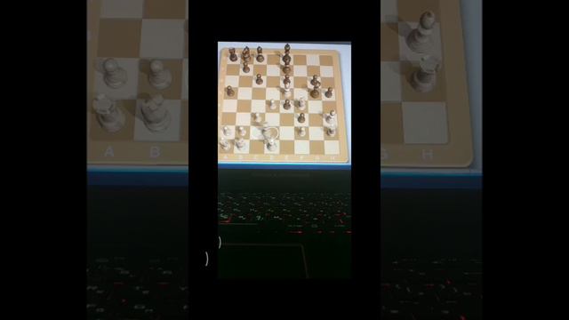 Шахматы. Интересно в общем