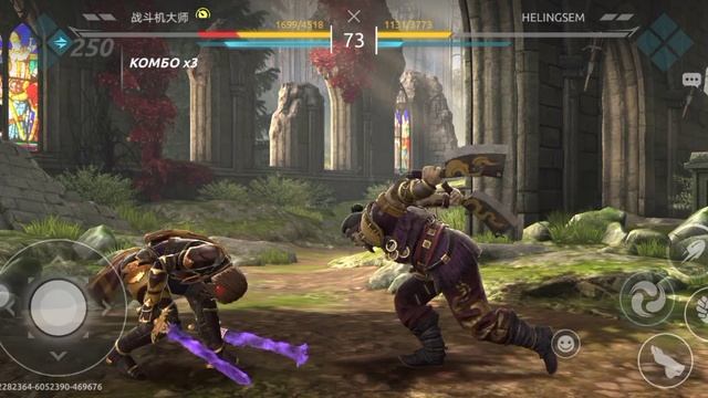 Шедоу Файт 4 Арена.mp4