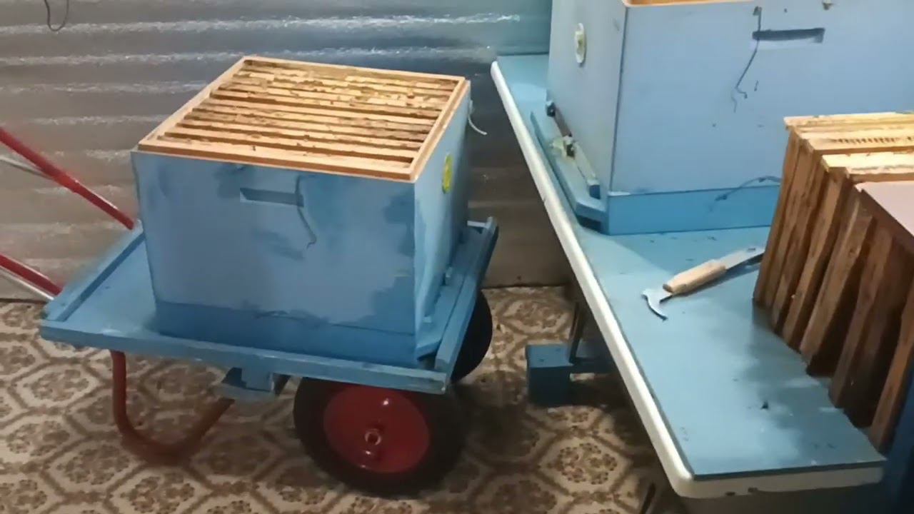 Обработка 2023. Улей № 14.