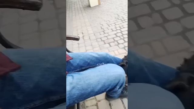 Почувствовал весну ??(Хорошо хоть ногой…)