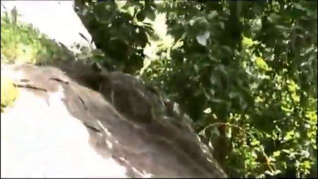 я в Шри - ланке