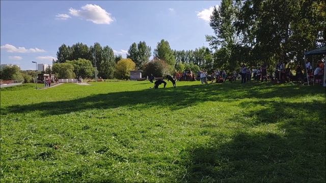 #ЭкоДог2019 II.mp4