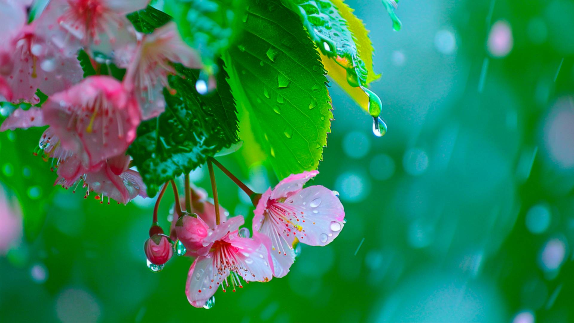 ☔️ ШУМ ДОЖДЯ И МУЗЫКА ДЛЯ МЕДИТАЦИИ 🎵 ЭТУ МЕЛОДИЮ МОЖНО СЛУШАТЬ ВЕЧНО! 🎵 МУЗЫКА ДЛЯ СНА