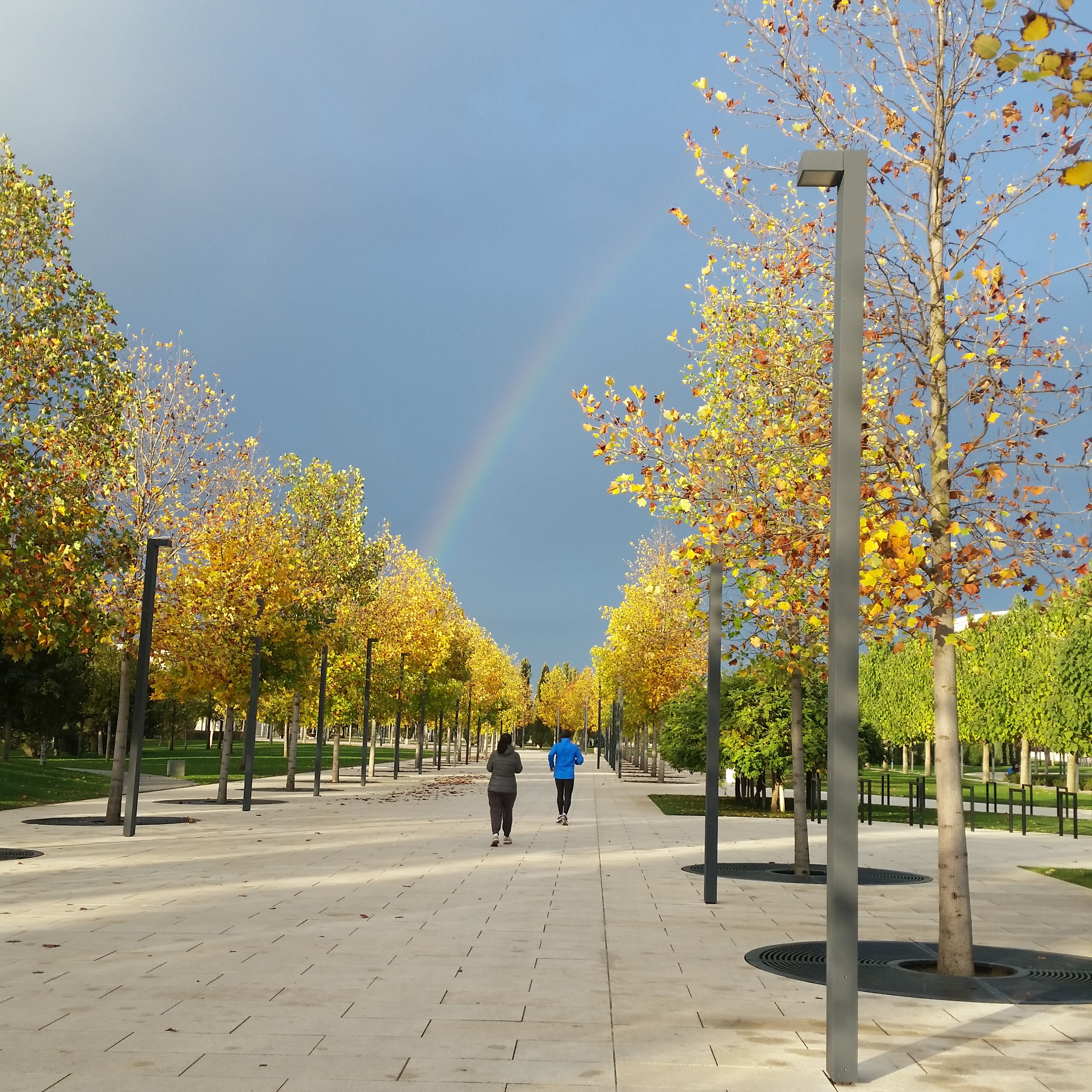 Пробежка вокруг парка Галицкого с собакой.